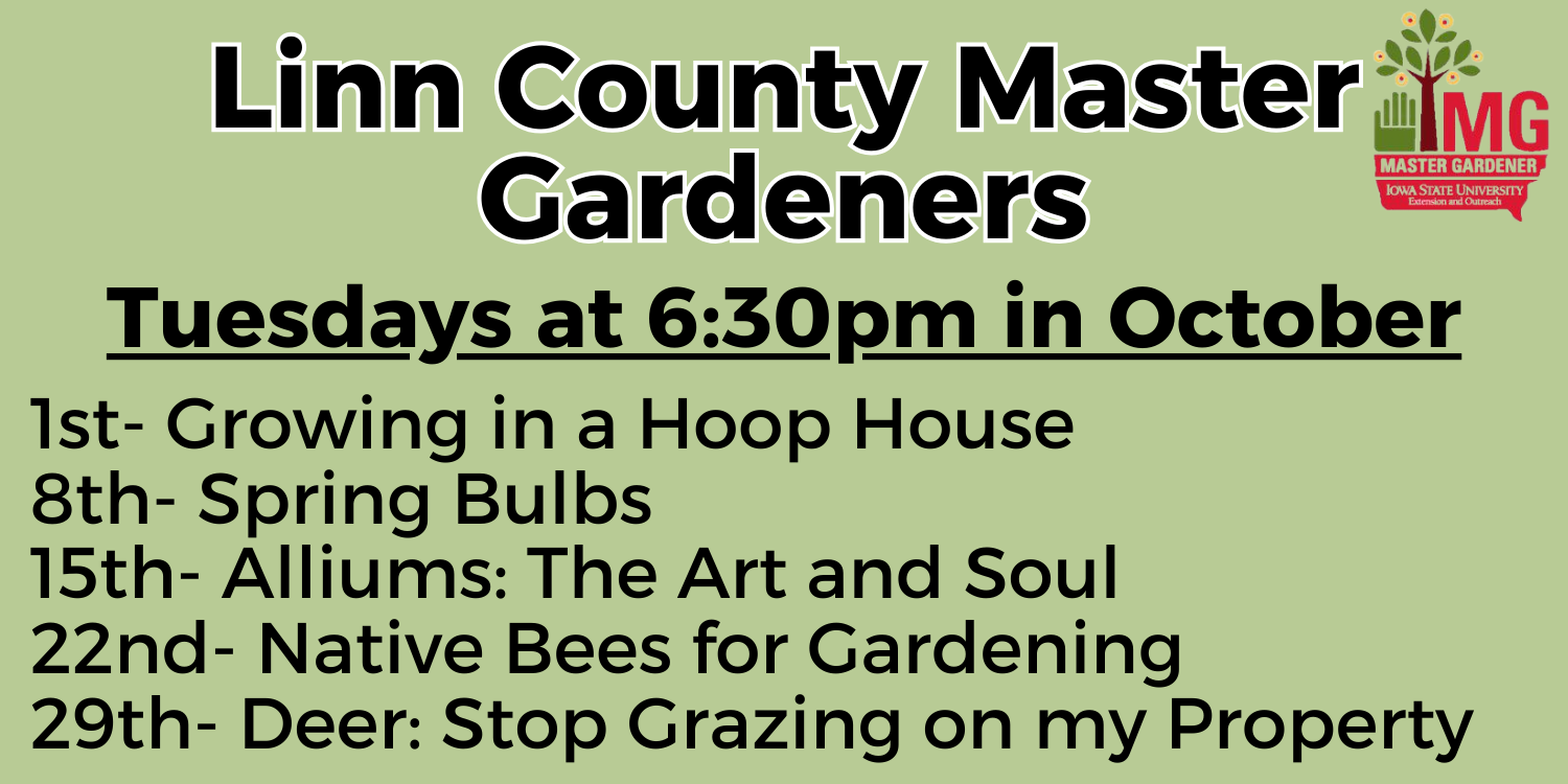 Home :: Ely Public Library